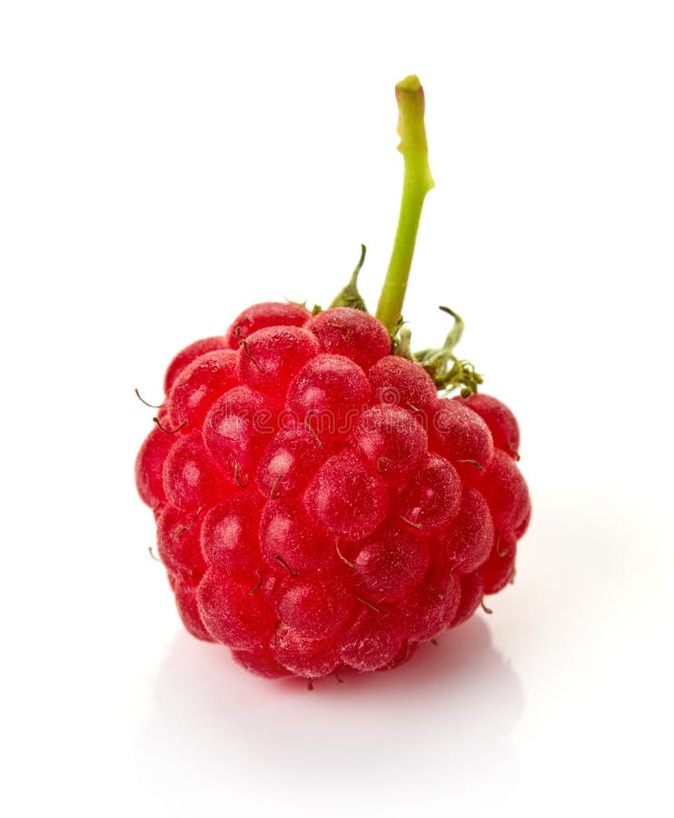 Raspberry Isolated on White Stock Image - Image of healthy, fresh: 74698727