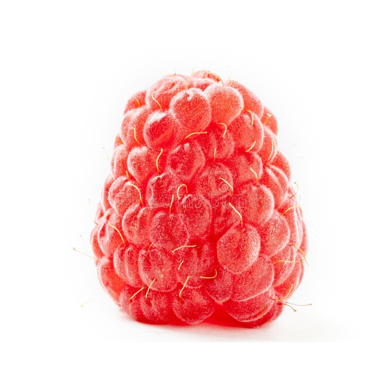 Raspberry Isolated on White. Sweet Fresh Fruit Stock Image - Image of ...