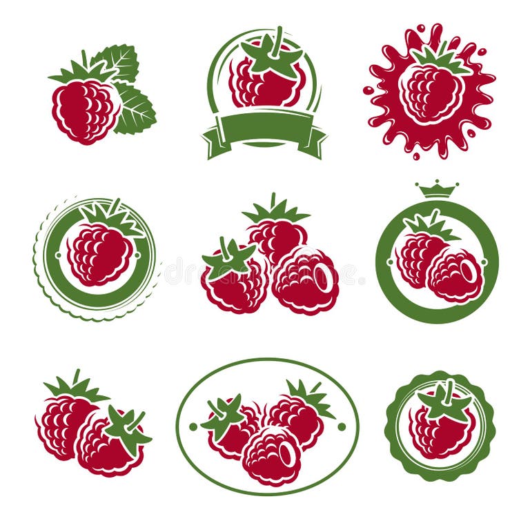 Raspberry Labels and Elements Set. Vector Stock Vector - Illustration ...