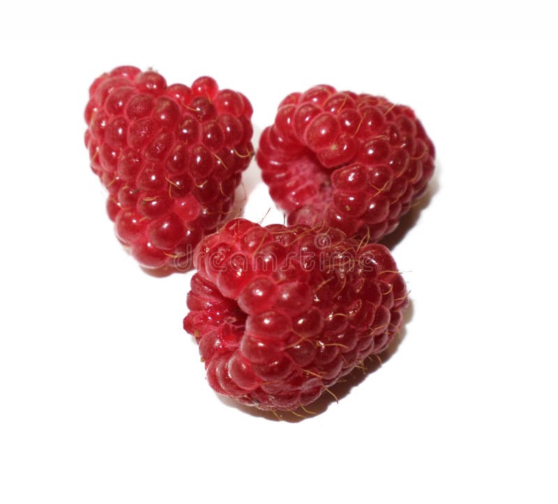 Raspberry Large Berries Isolated on White . Stock Image - Image of ...
