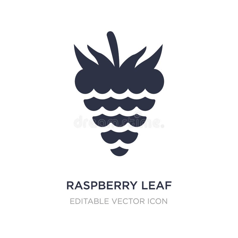 Raspberry Leaf Icon Vector Sign and Symbol Isolated on White Background ...