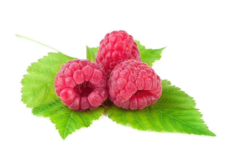 Raspberry with Leaf, Isolated on White Stock Photo - Image of nature ...
