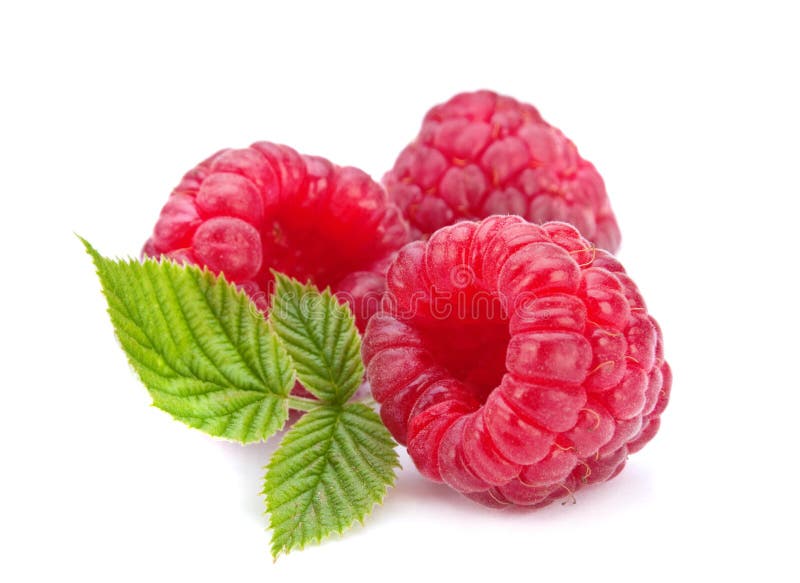 Collection of Raspberry Isolated on White Background Stock Photo ...