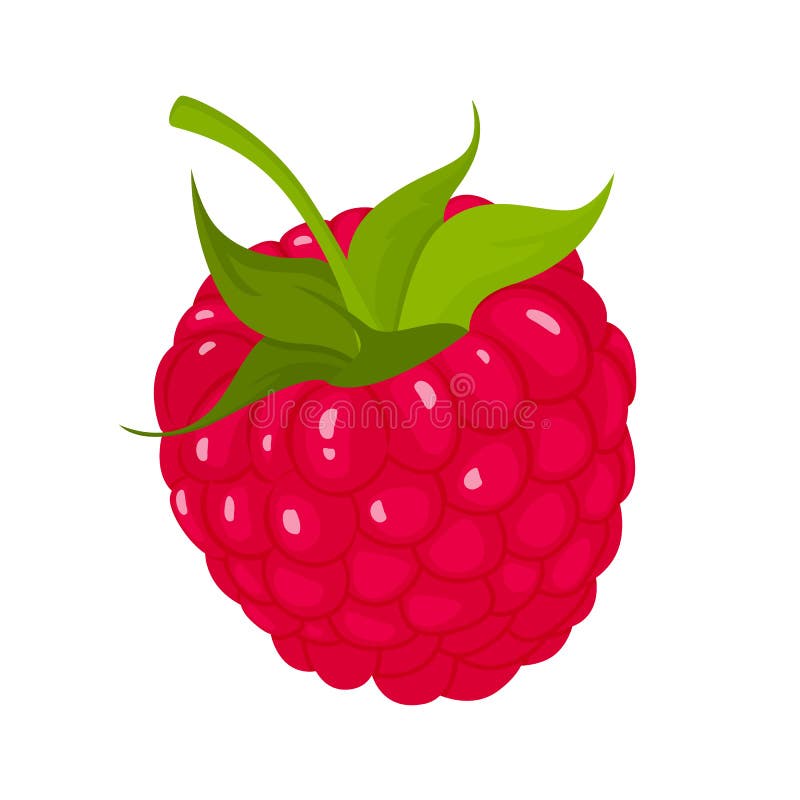 Raspberry With Leaf Isolated On White Background Raspberry Vector Icon Clipart Raspberry Icon