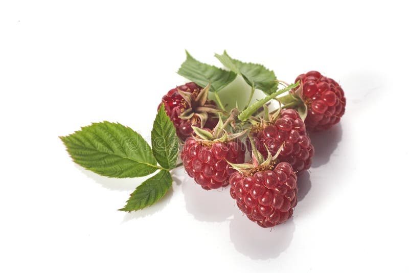Raspberry with leaf stock image. Image of diet, three - 212566865