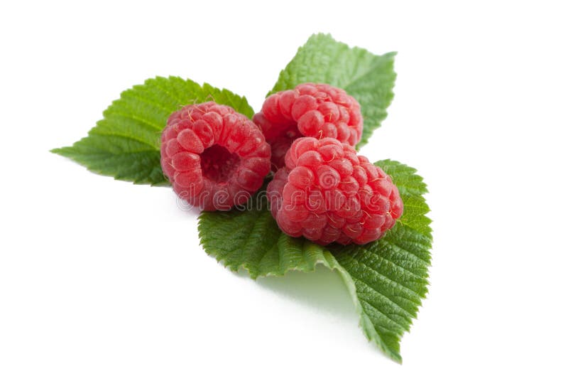 Raspberry with leaves stock image. Image of green, vitamins - 15220907