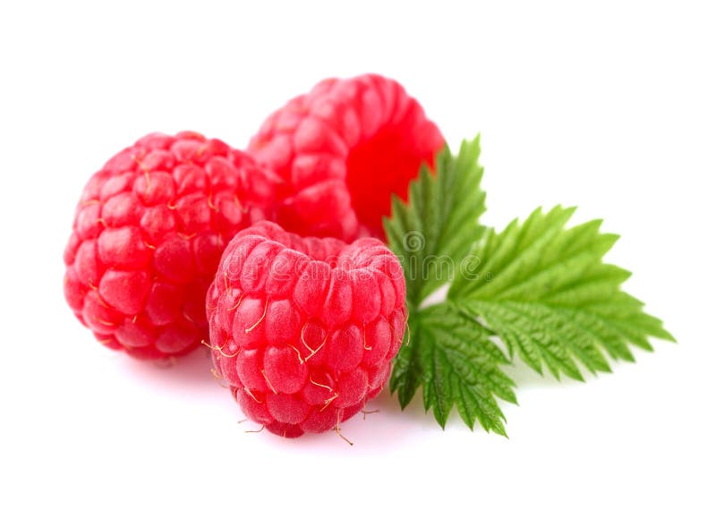 Raspberry with leaves stock image. Image of berry, raspberry - 37797241