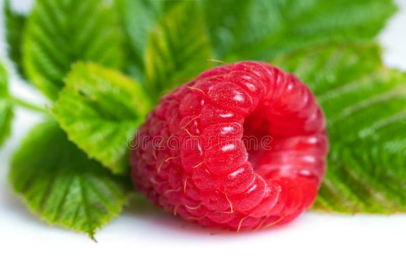 Raspberry with Leaves. Raspberry Isolated on White Background Stock ...