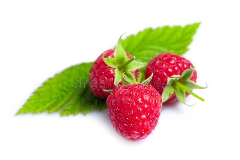 Raspberry with Leaves. Raspberry Isolated on White Background Stock ...