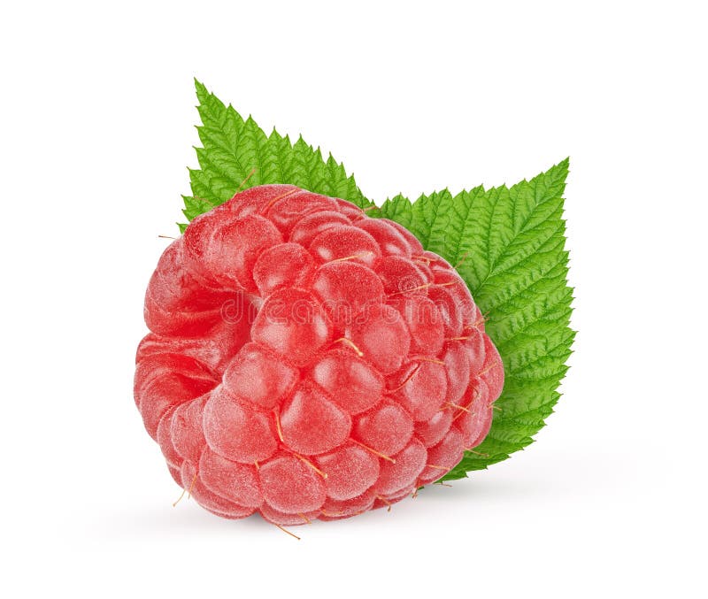 Raspberry with Leaves Isolated on White Background Stock Image - Image ...