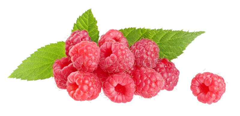 Raspberry with Leaves Isolated on White Background Macro Stock Image ...