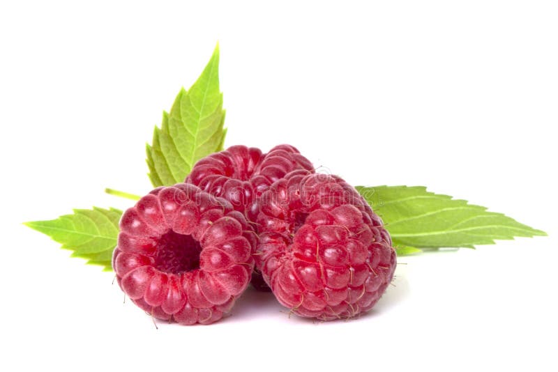 Raspberry with Leaves Isolated on White Background Stock Photo - Image ...