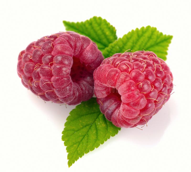 Raspberry with leaves stock photo. Image of sweet, garden - 35447516