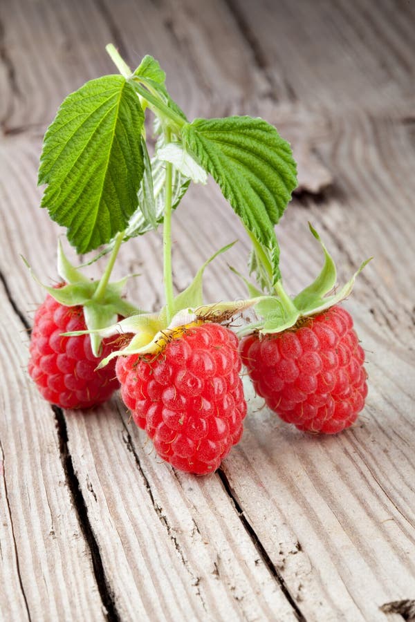 Raspberry stock image. Image of vegetarian, wood, vegan - 37772975