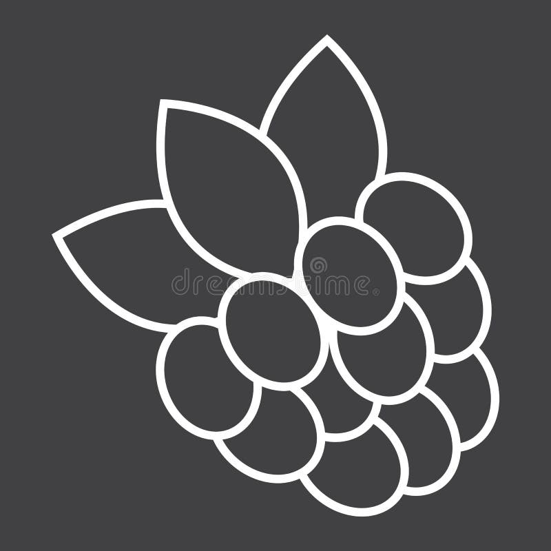 Raspberry Line Icon Isolated on White Background. Black Flat Thin Icon ...