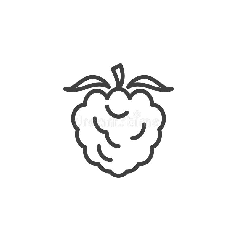 Raspberry Icon Line Stock Illustrations – 4,008 Raspberry Icon Line ...