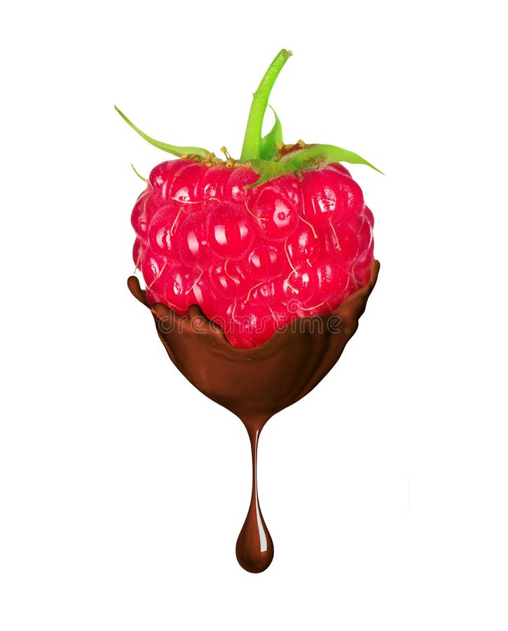 Chocolate and Raspberry Mousse Cake Entremet on White Background Stock ...