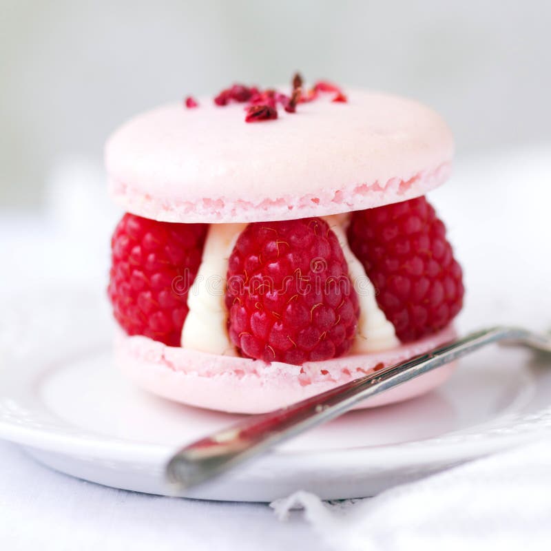 Raspberry macaron stock image. Image of pastries, white - 42078199