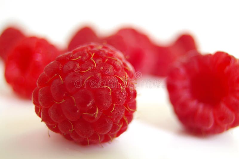 Red raspberry stock image. Image of white, raspberry, raspberries - 1860971