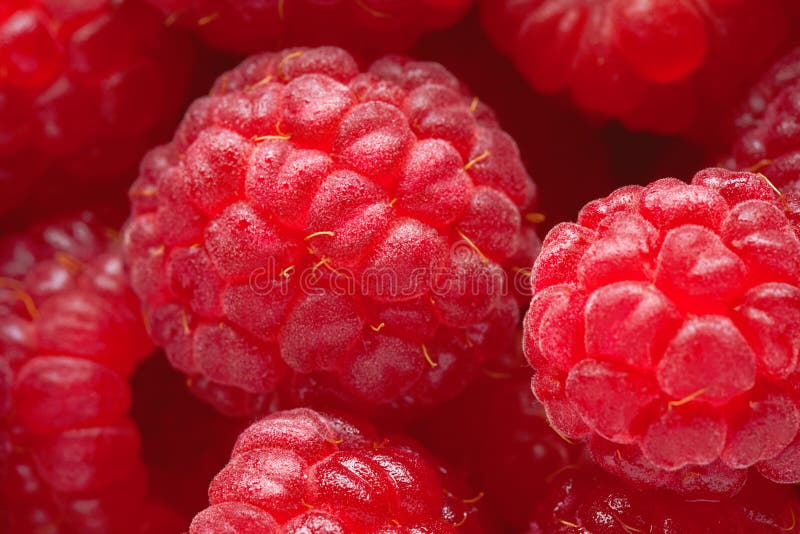 Raspberry Macro Closeup Image Stock Image - Image of food, fruits: 49738397