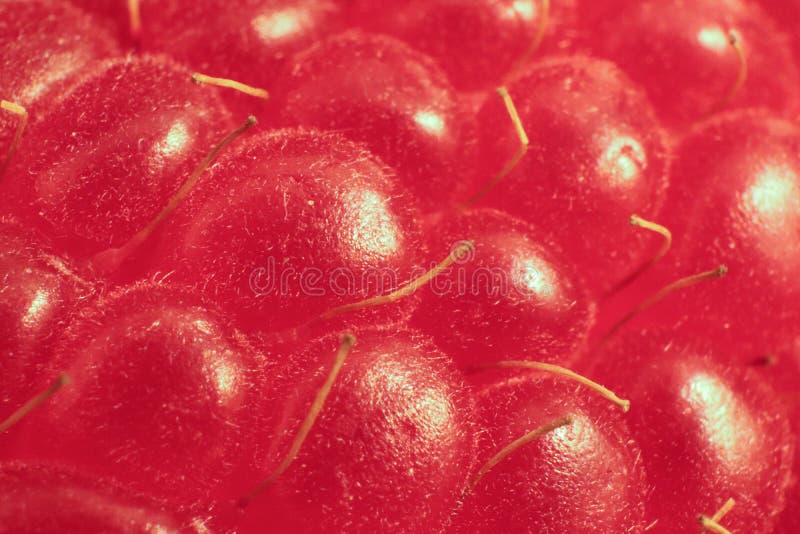 Raspberry Texture Background Stock Photo - Image of berry, vitamin ...