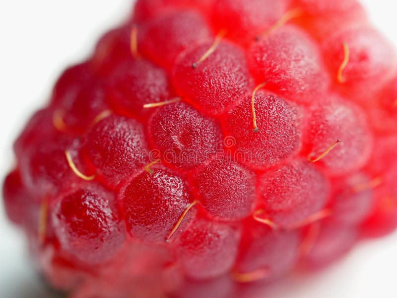 Raspberry in zoom stock image. Image of fruited, fruitage - 6218127