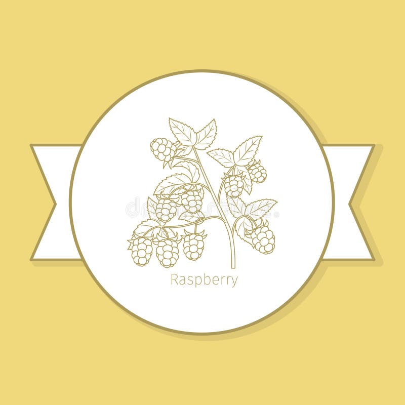 Raspberry Jam Label Template Design. Vector Illustration Stock ...