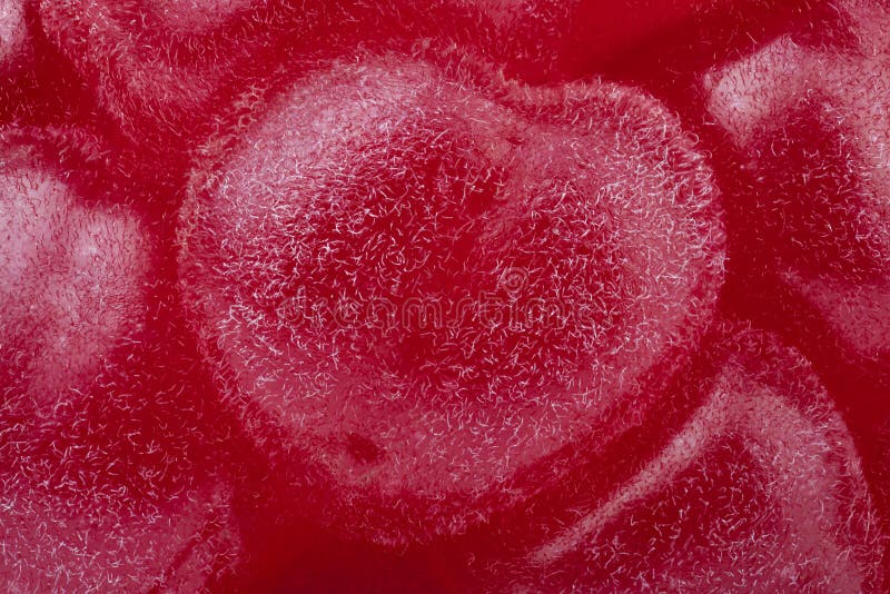 Raspberry through the Microscope Stock Image - Image of berry ...