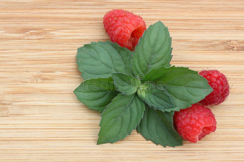 Raspberry and mint stock image. Image of leaves, cloves - 43718815