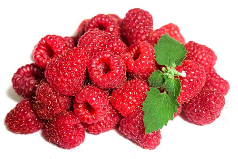 Raspberry and Mint stock photo. Image of raspberry, mint - 68515974