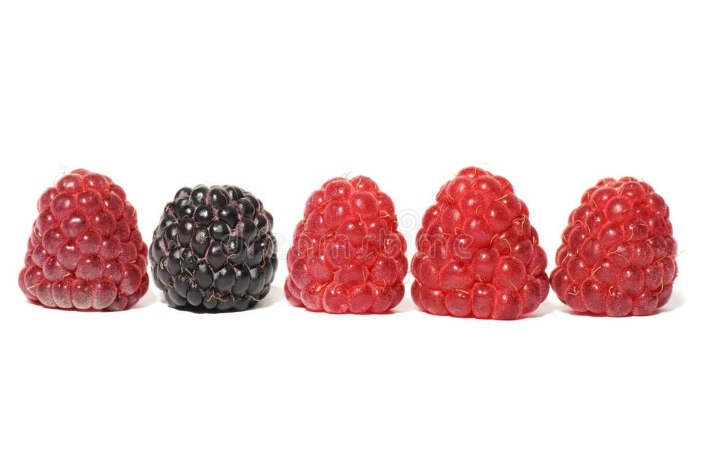Raspberry mix stock photo. Image of juicy, food, black - 45592182