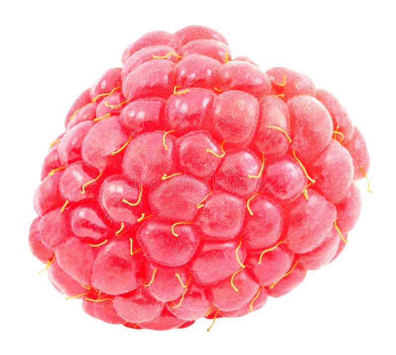 Raspberry One Berry Whole Isolated on White Background with Clipping ...