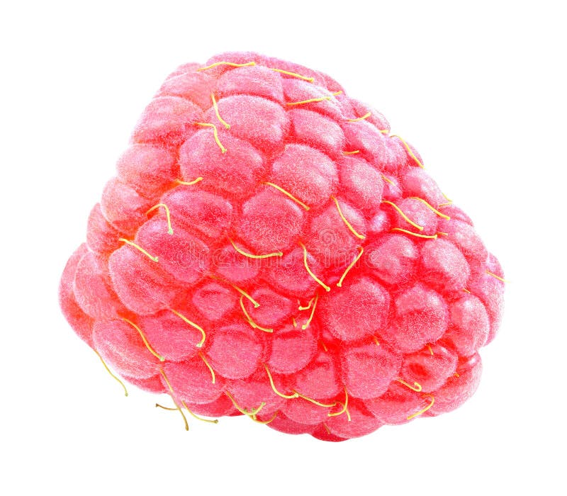 Raspberry One Berry Isolated Close-up on White Background with Clipping ...