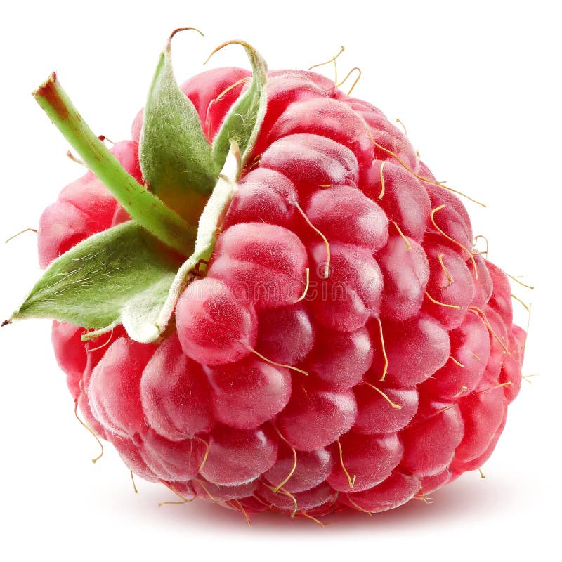 Raspberry One Isolated on White Background. Stock Photo - Image of ripe ...