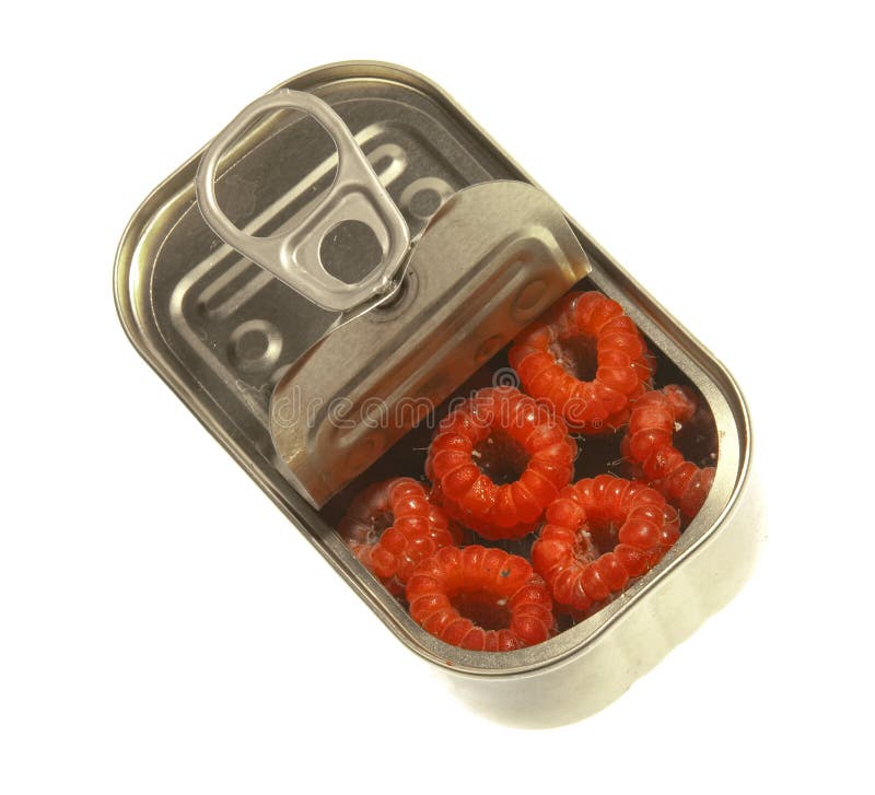 Plastic red gas can stock image. Image of plastic, isolated - 10985655