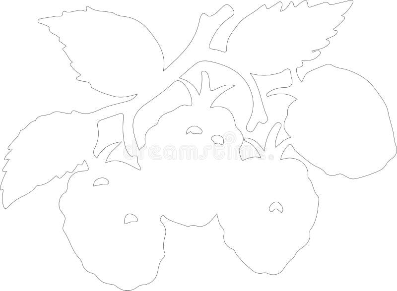 Silhouette Raspberry Stock Illustrations – 2,772 Silhouette Raspberry ...