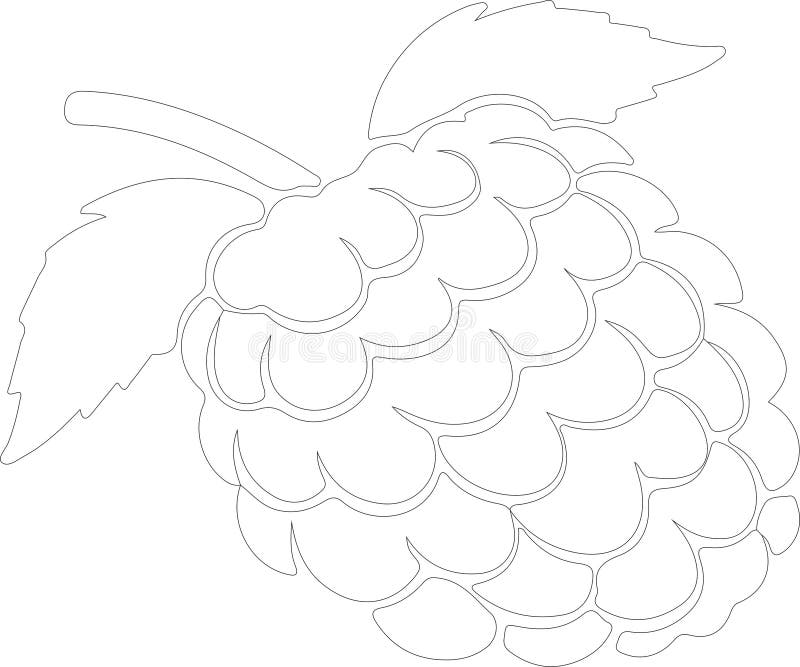 Raspberry Outline Silhouette Generative Ai Stock Vector - Illustration ...