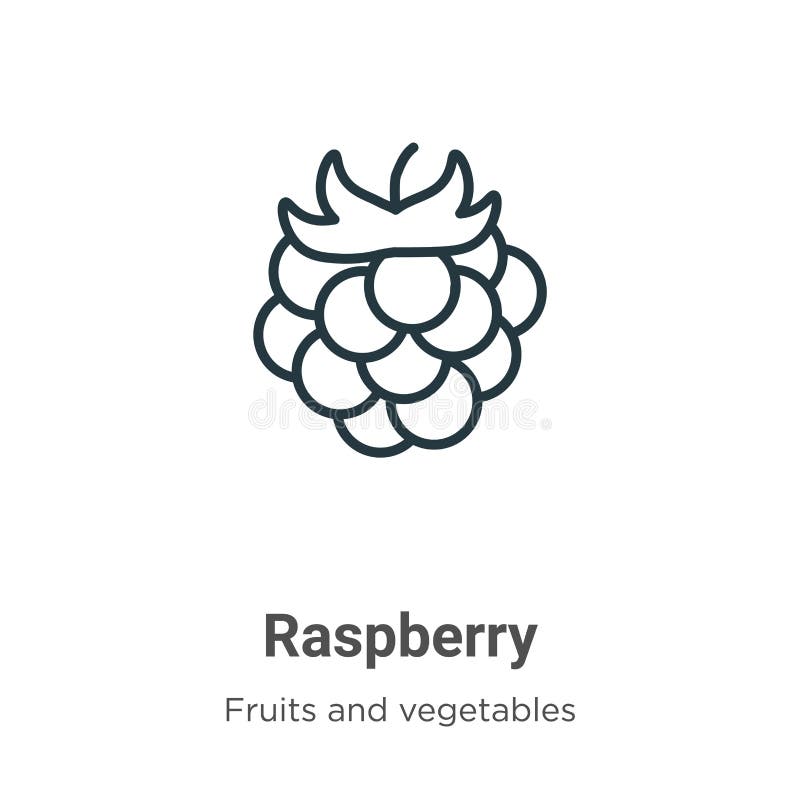 Raspberry Outline Vector Icon. Thin Line Black Raspberry Icon, Flat ...