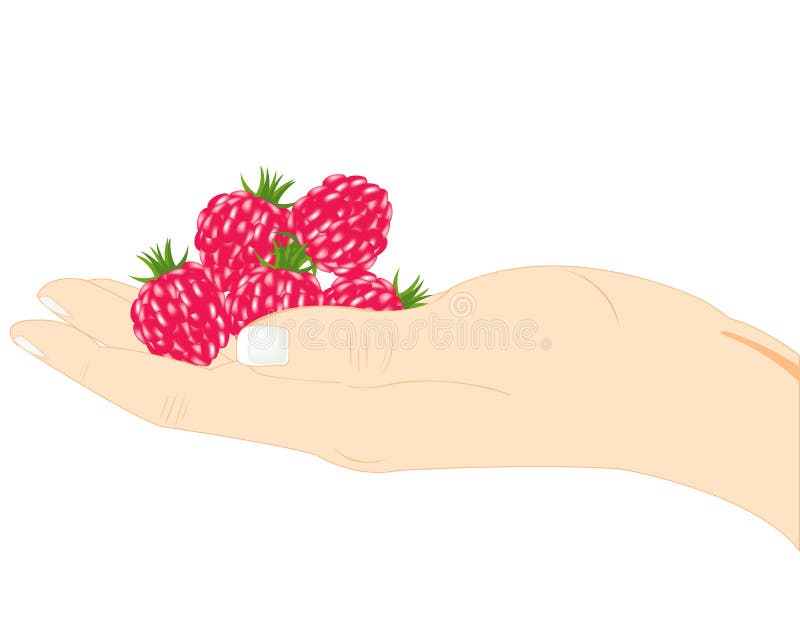 Raspberry Person Stock Illustrations – 631 Raspberry Person Stock ...