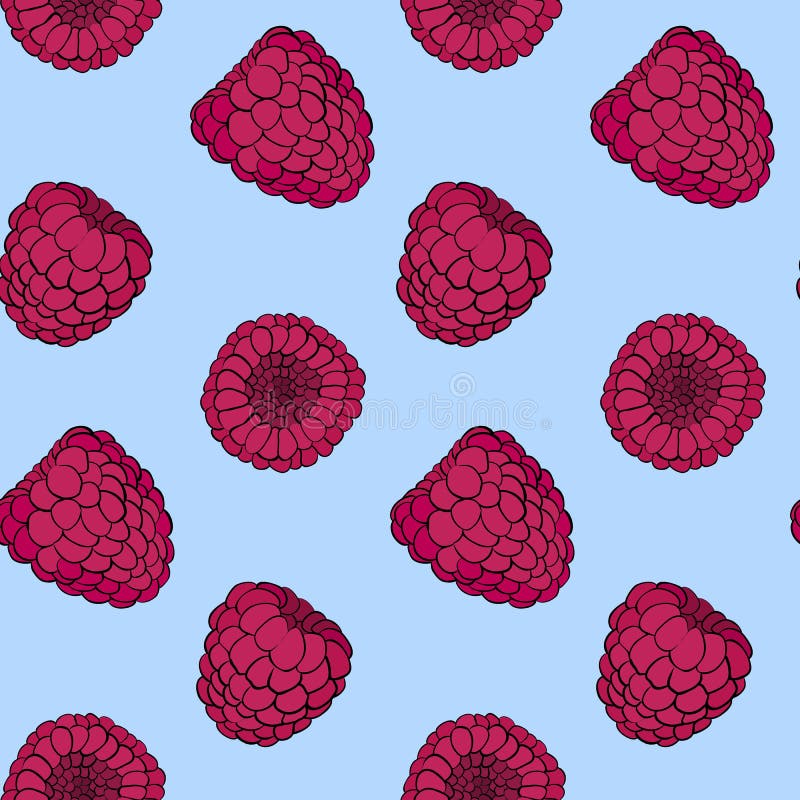 Raspberry pattern stock vector. Illustration of fruit - 46698576
