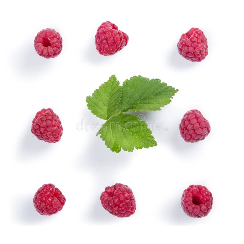 Raspberry Pattern Isolated on White Stock Image - Image of overhead ...