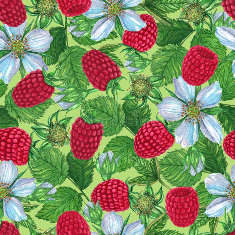 Raspberry pattern 2 stock illustration. Illustration of element - 190815647