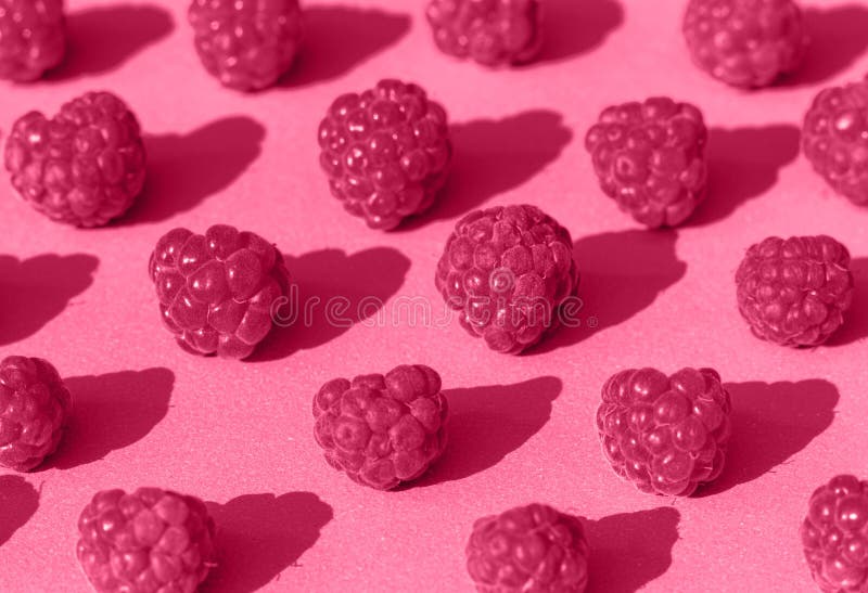 Raspberry Pattern in Trend Color of 2023 Viva Magenta. Stock Image ...