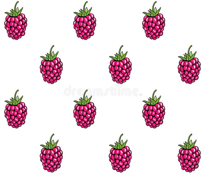 Raspberry pattern vector stock vector. Illustration of delicious - 98157654