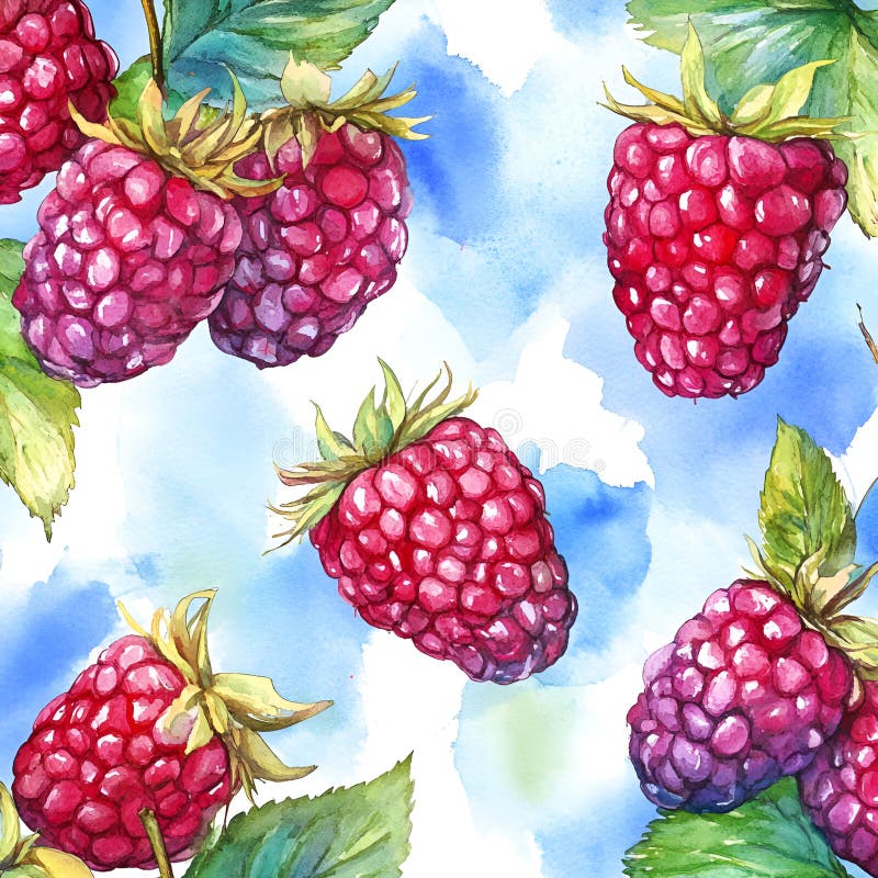 Raspberry Pattern Watercolor Stock Illustration - Illustration of ...