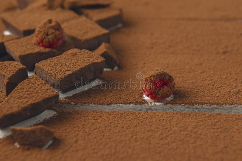 Raspberry and Pieces of Chocolate Fully Covered with Cocoa Powder on ...
