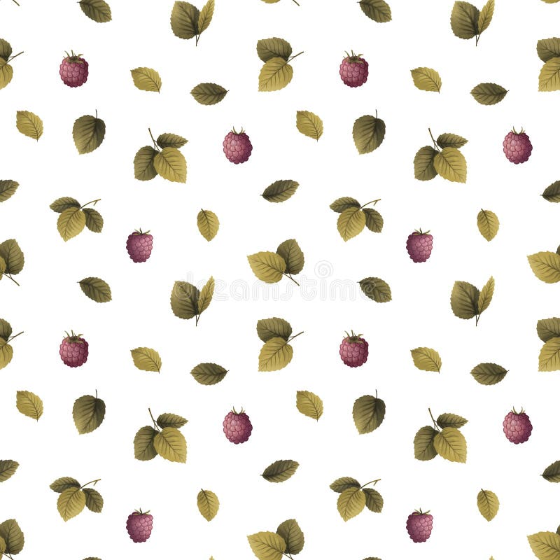 Raspberry Plant, Branch in Leaves and Berries, Seamless Pattern ...