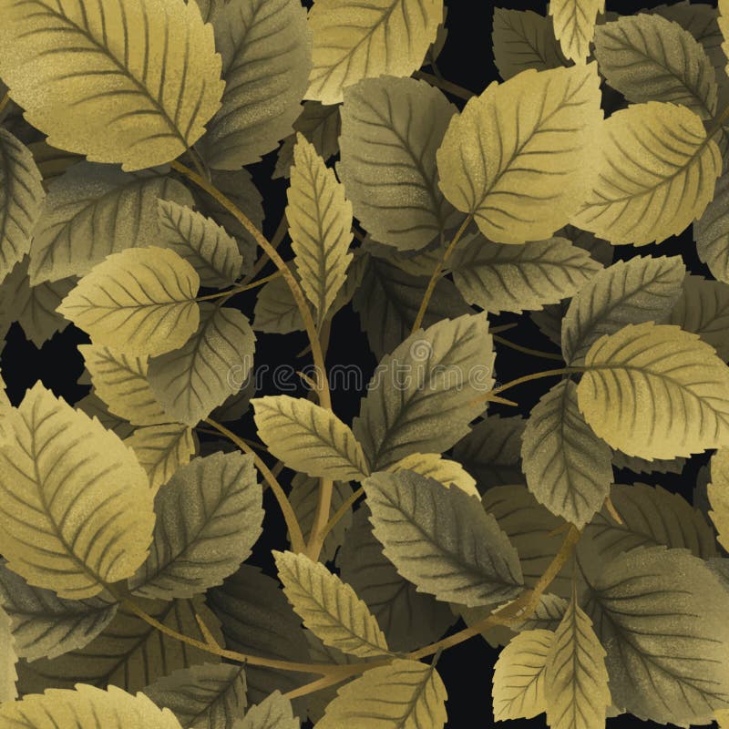 Raspberry Plant, Leaves Branch in and Berries, Template Frame, Drawing ...