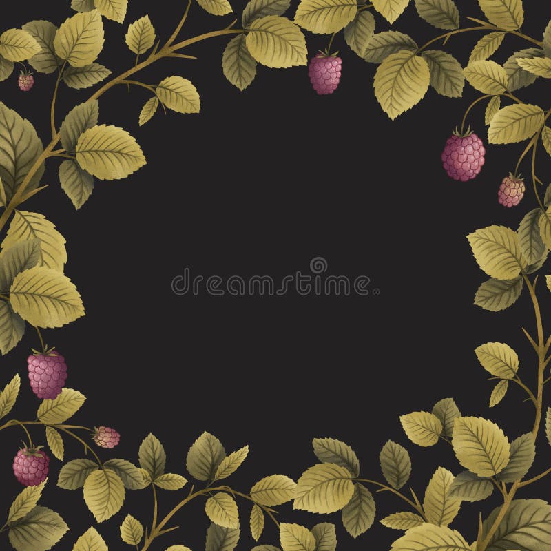 Raspberry Plant, Leaves Branch in and Berries, Template Frame, Drawing ...