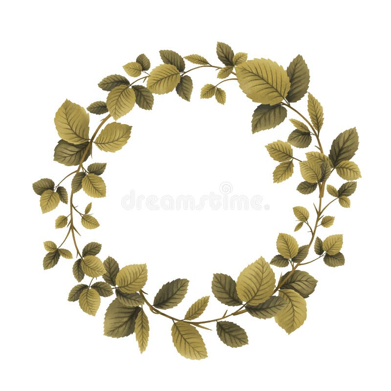 Raspberry Plant, Leaves Branch in and Berries, Template Frame, Drawing ...